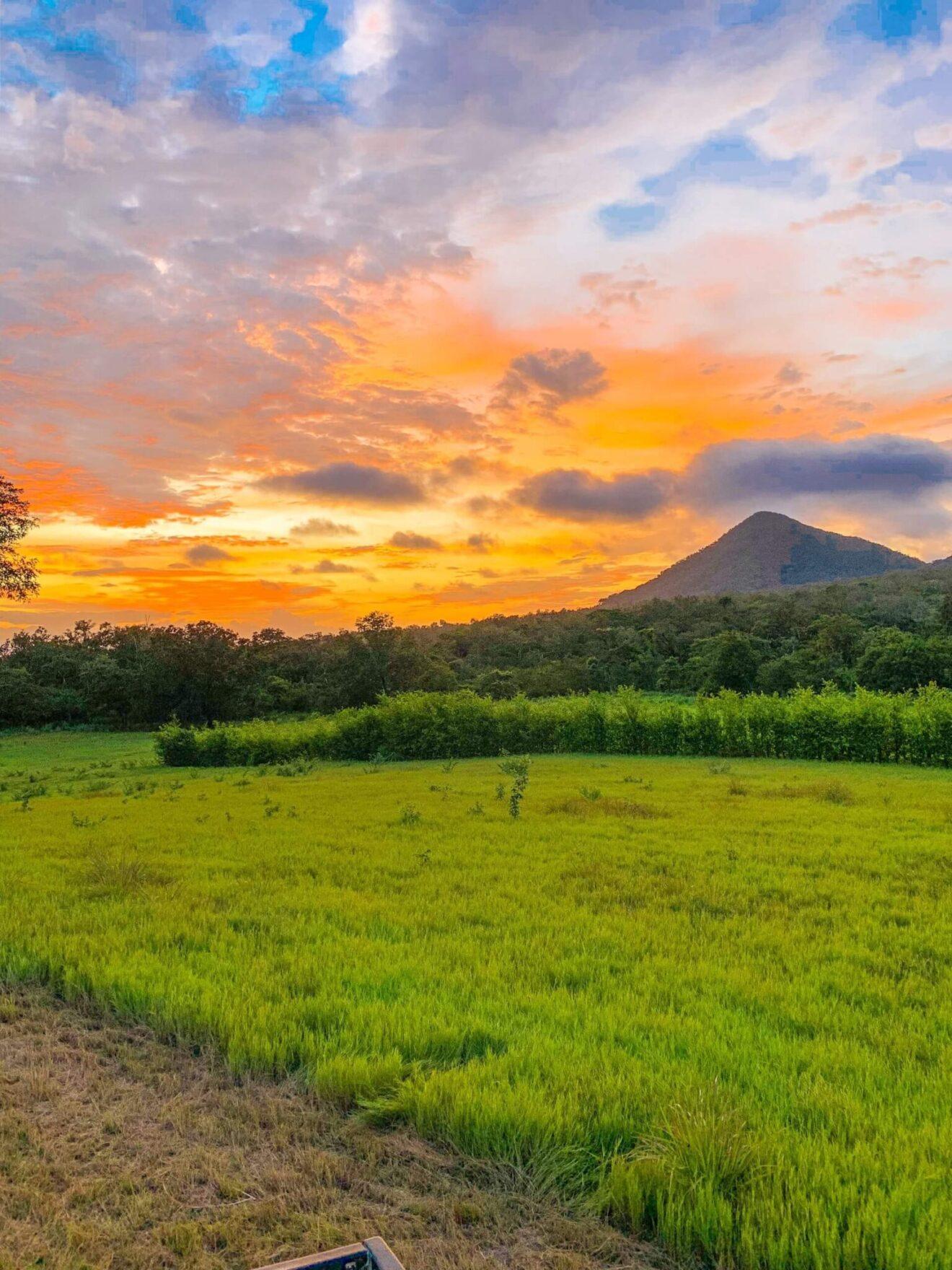 Top Things To Do In Guanacaste, Costa Rica : Embrace The Pura Vida