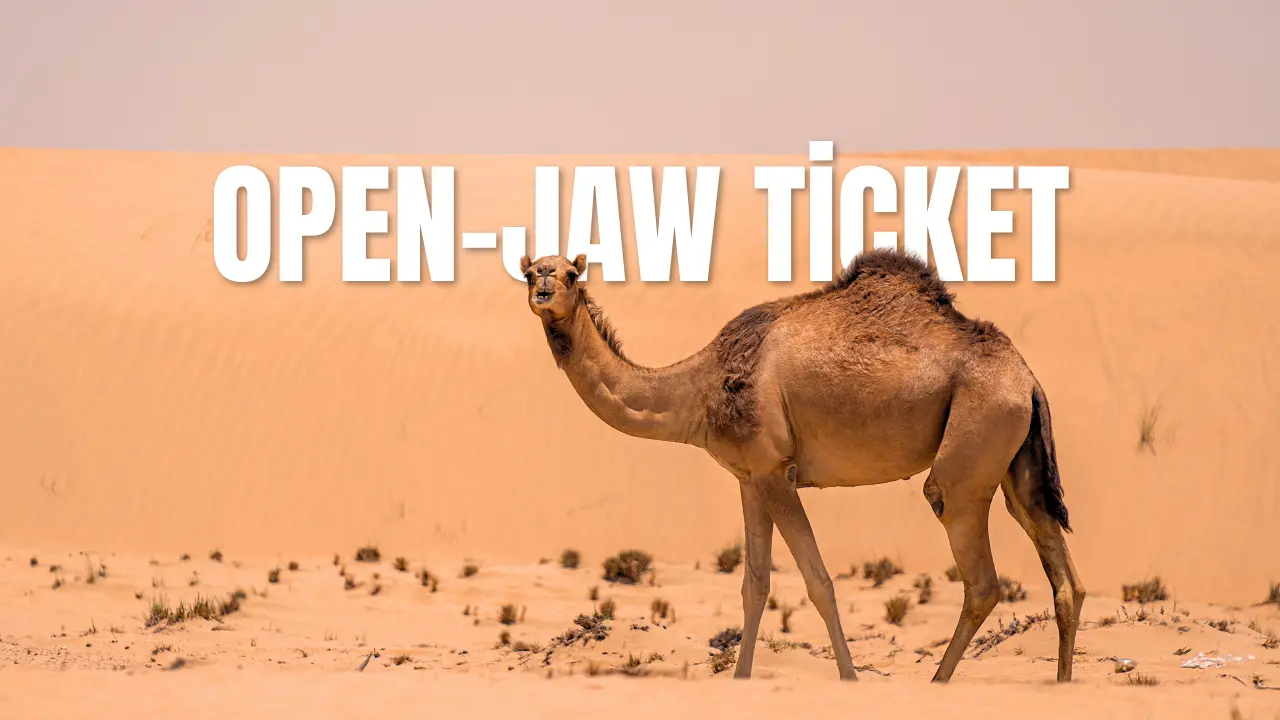 Open-jaw ticket | Travel Library