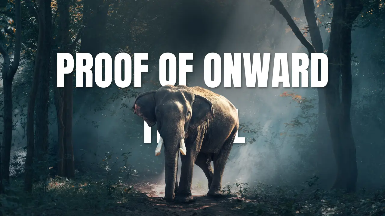 Proof of onward travel | Travel Library